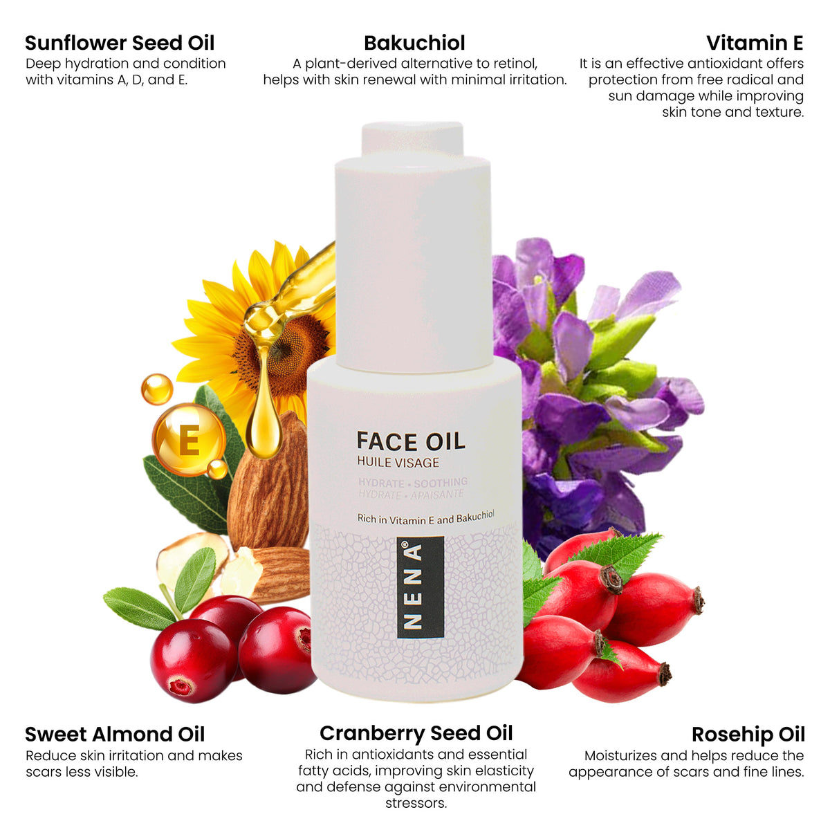 NENA Face Oil with Bakuchiol | Natural Radiant Skincare – NENA Skincare